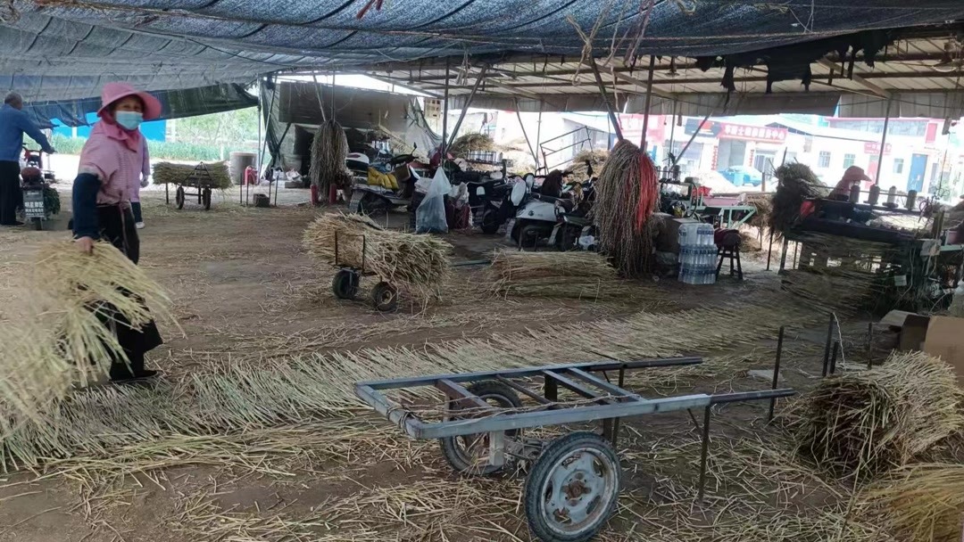 怎么分辨草帘的质量?-稻夫草编制品厂