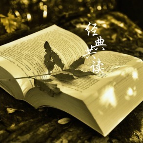 陈想读名著