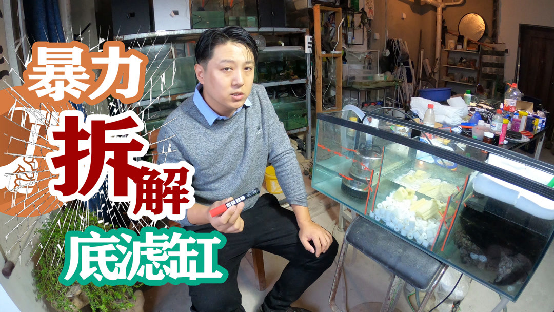 3年客户实地回访，零死亡率的背后，为你揭秘底滤鱼缸的终极秘密