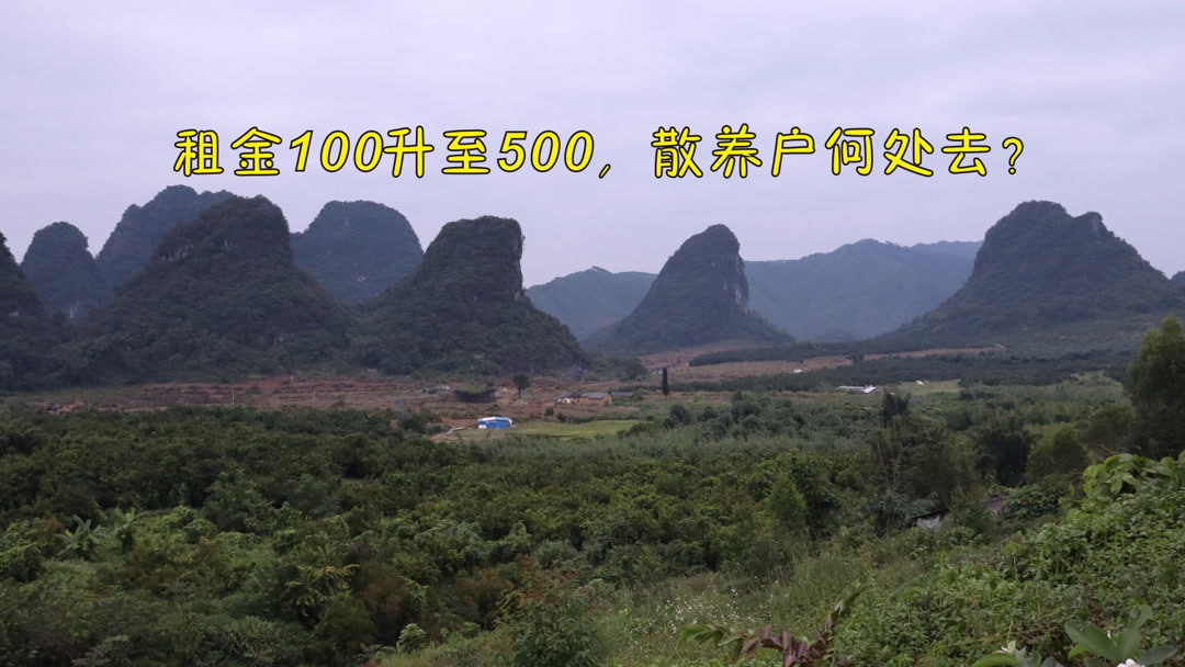 3000亩绿色耕地,成满天尘土的工地,猪企的量变扩张