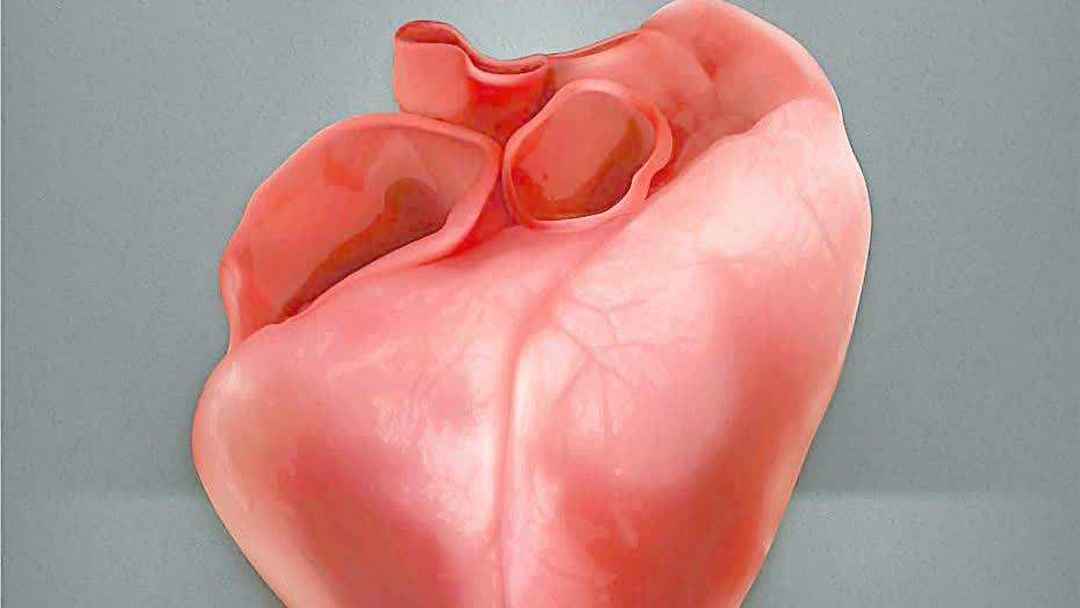 身体出现这些症状,是心脏瓣膜异常了,赶紧去看看