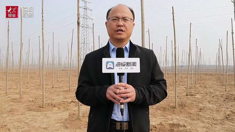 同为家园添新绿!河口区开展义务植树活动