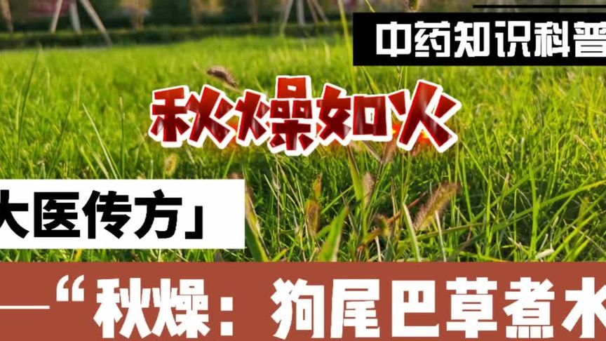 今天是我第一次用编辑软件做视频制作,虽然搞的乱七八糟的