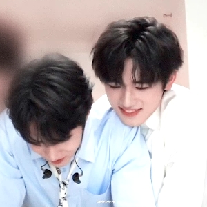 吃瓜不吐籽的西兰花 