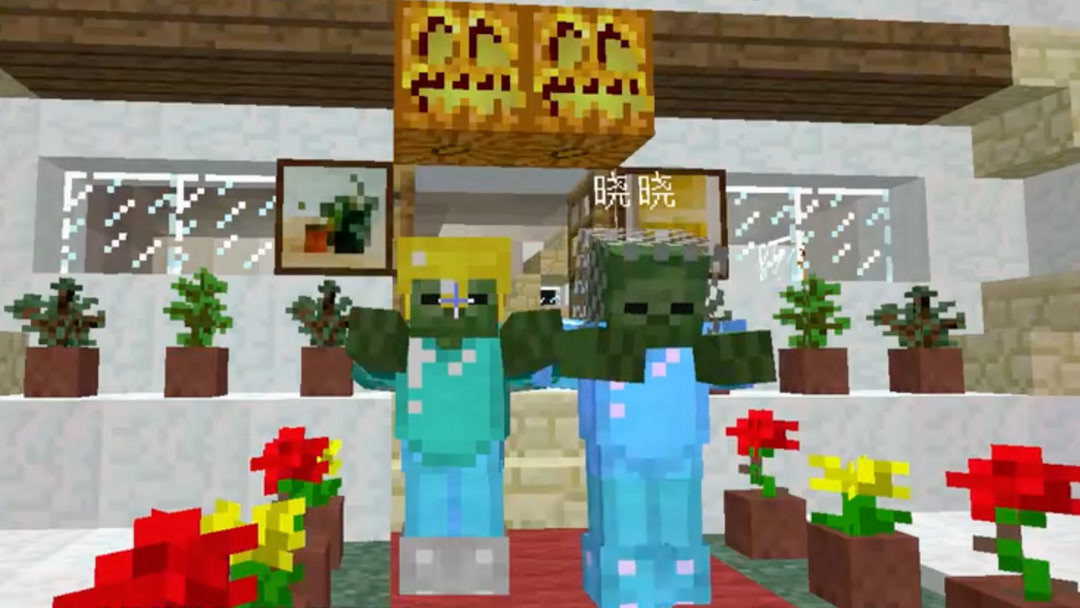 【大白团队】MC我的世界我是一只小僵尸僵尸兄弟二十五