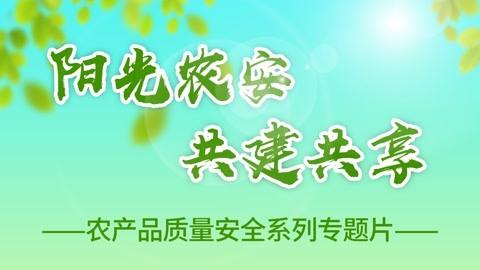 阳光农安 共建共享 28 生产主体质量安全责任