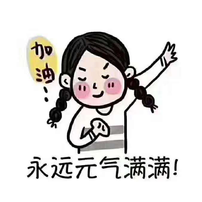 设计小白菜 