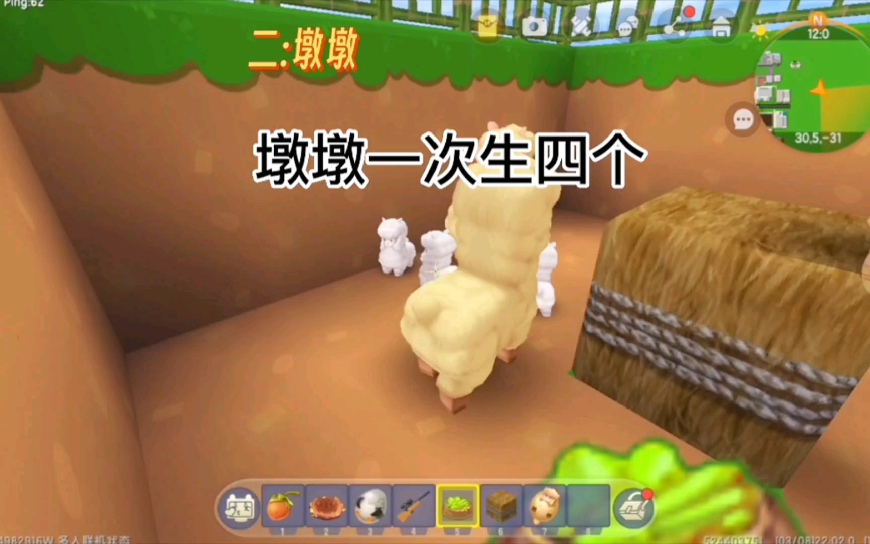 生物繁殖教程大全迷你世界