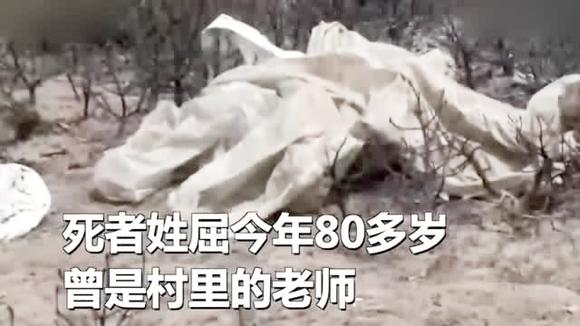 八旬老人祭祖烧纸不慎引发火灾,数亩松林被毁,老人不幸遇难!