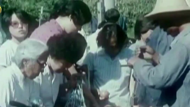 提出双轨制的改革方案,是计划经济向市场经济转变的重大转折