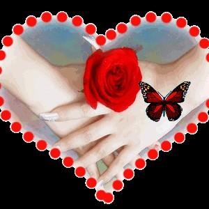 泽彬7687相信的力量 