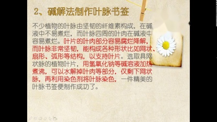 叶脉书签的制作