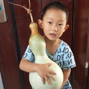 嘉硕郑漂生活记 