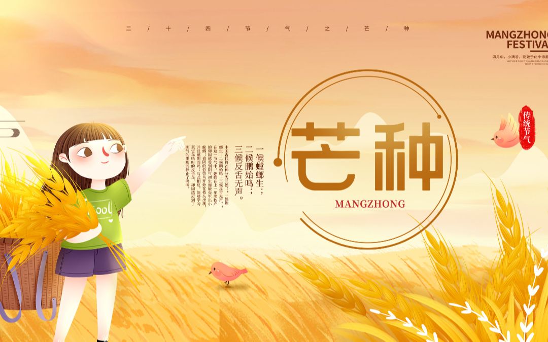 金黄简约传统节气芒种PPT课件