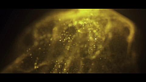 ...z106 震撼大气金色粒子文字字幕公司企业年会颁奖典礼宣传片开场...