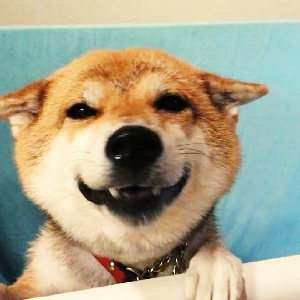 lead联盟小桂 