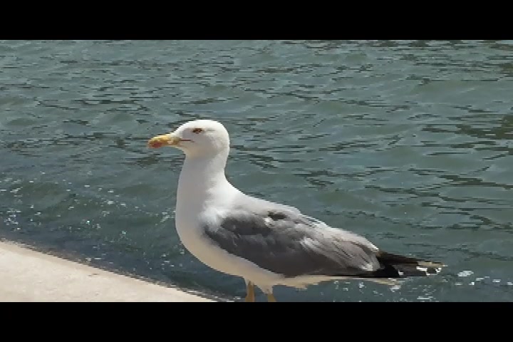 第2集:韩老师在海市蜃楼般遥远的威尼斯,乘小船慢摇在幽长水巷