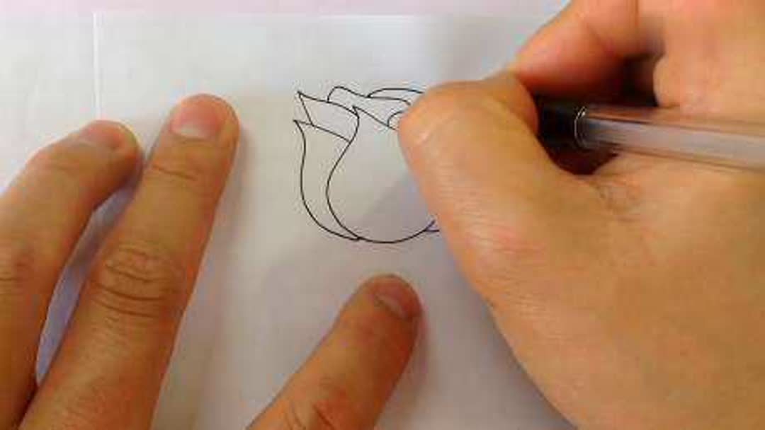 金龙手绘.简笔画玫瑰花