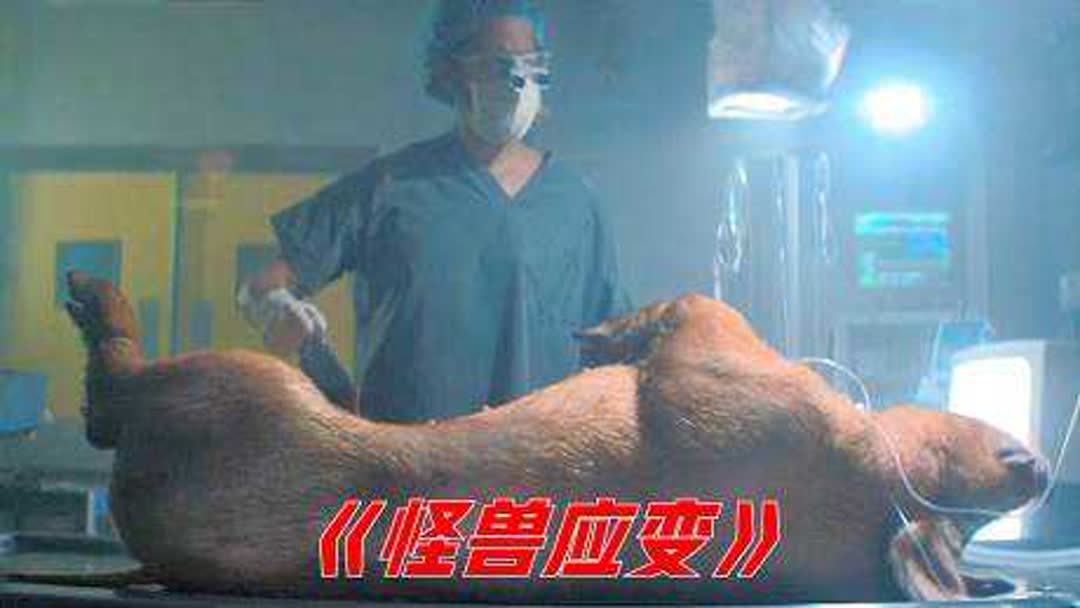 为了救绝症妻子,丈夫移植了猪的器官,悲剧在这一刻注定