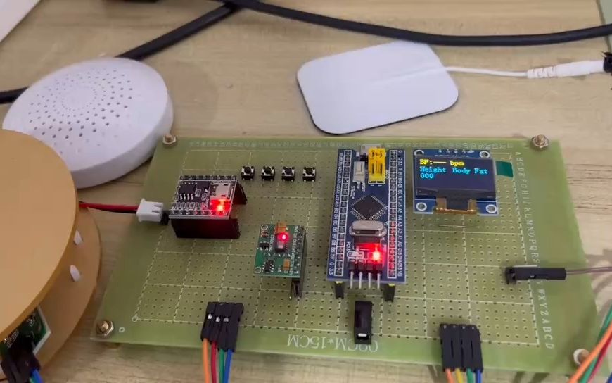 基于STM32单片机体质监测控制系统设计