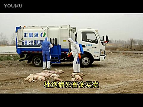 利津县畜牧形象宣传片