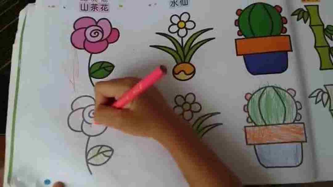 儿童简笔画-宝宝涂鸦05-植物 亲子少儿早教绘画启蒙 儿童涂