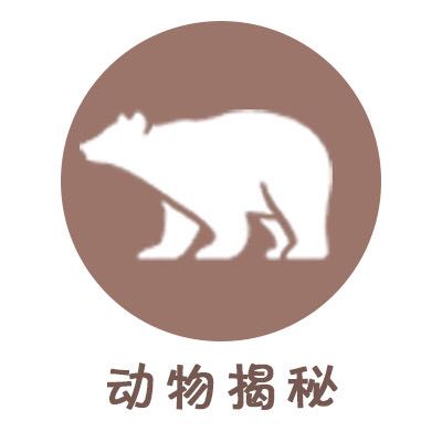 动物揭秘 