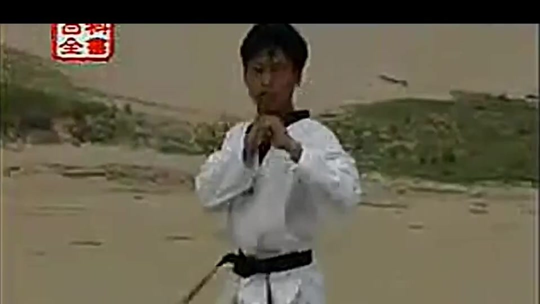 跆拳道基础训练教程(跆拳道视频)`;R