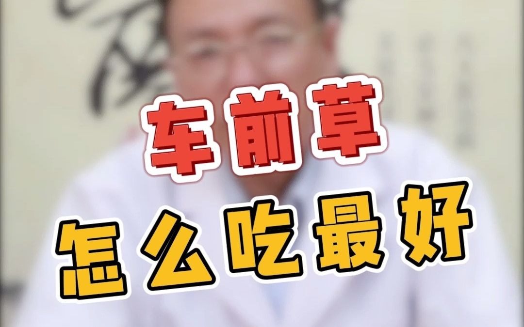 男性良药车前草,它有什么功效和禁忌?怎么吃最好
