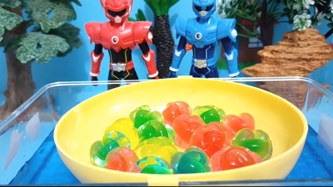 一大盆的水舞珠珠跳进去是什么样的体验,弗特和塞米的水舞珠珠