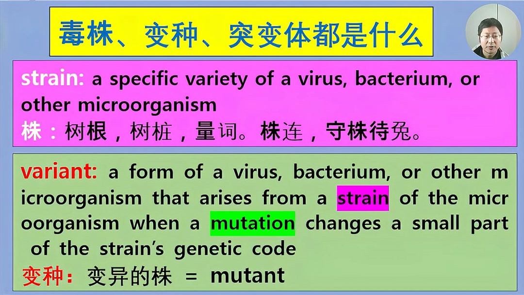 科普学英语1:毒株,变种,突变体都是什么,又有怎样的关系