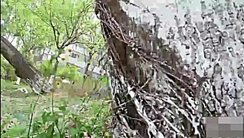 单反教程 教你用单反相机学摄影 拍人物 相机如何设置