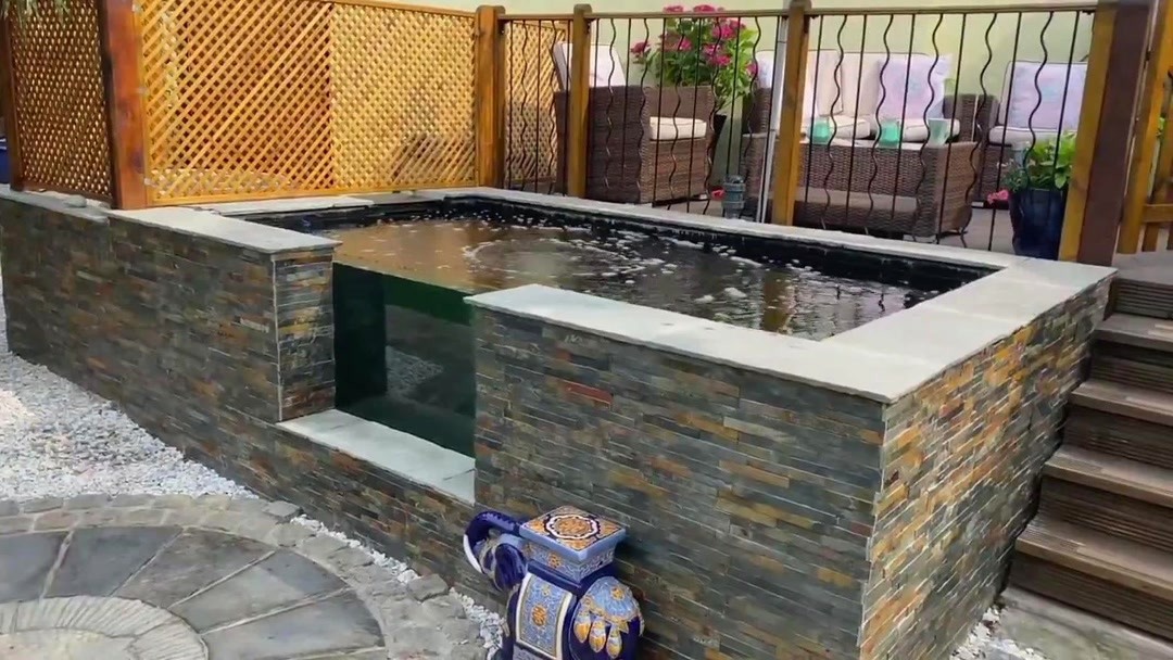 原本很普通的院子,自建了一口鱼池,高大上!过滤系统不错养锦鲤
