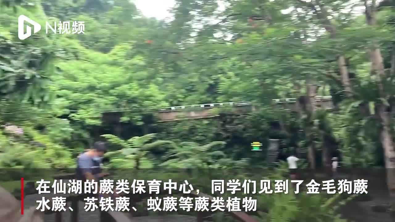 探索森林生态系统!深圳小学生暑期调研直呼大开眼界