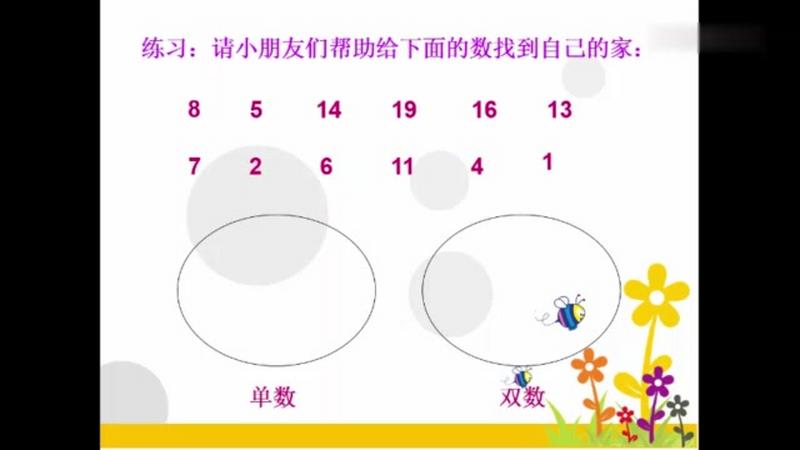 认识单双数练习讲解