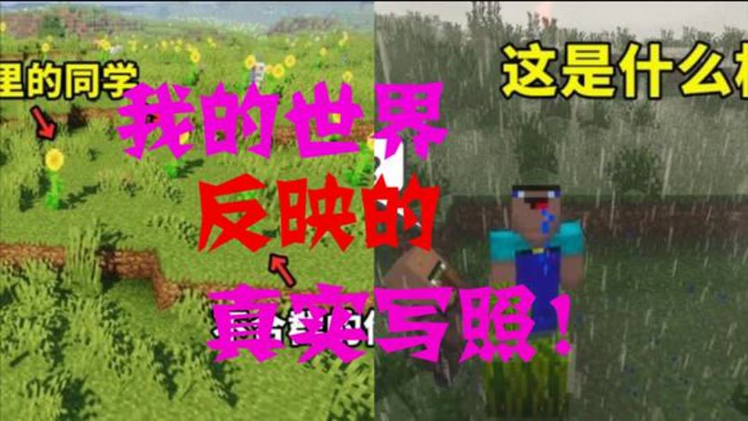 我的世界:MC是个仿真的真实游戏,反映了大部分人的真实写照!