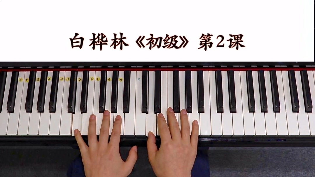白桦林《钢琴教学》初级教学