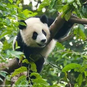 工航自六小旭旭 