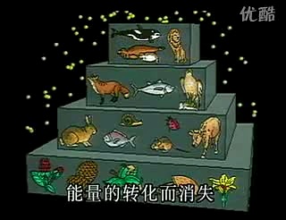 生态系统的物质循环