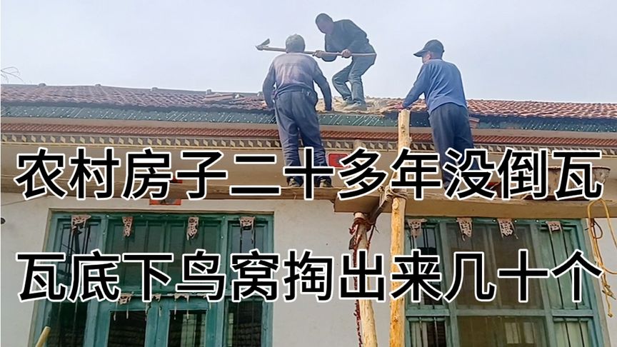 找了五个师傅给房子倒瓦,用简易的木棍支撑,农村泥瓦工厉害