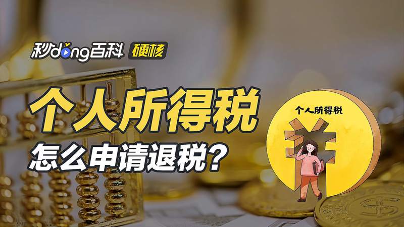 2021年个税退税开始了,快来领钱吧