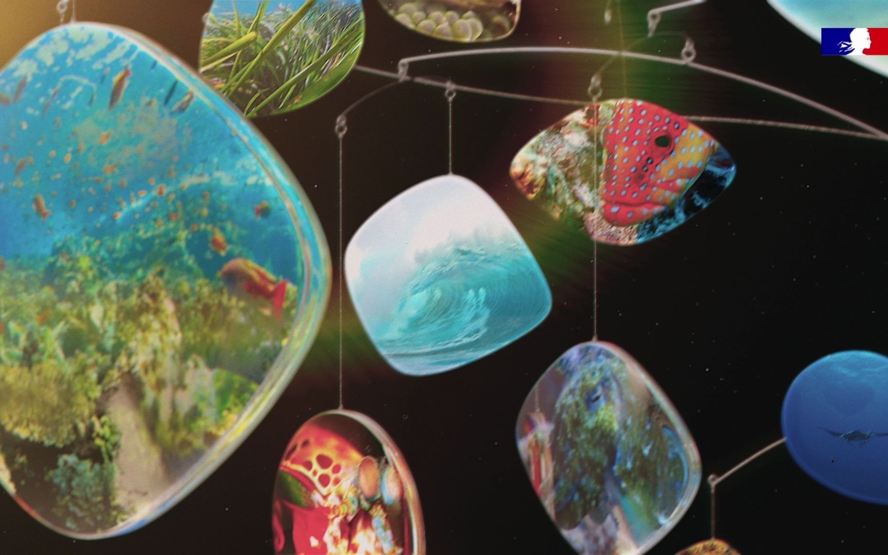 保护生物多样性——第1集 总述