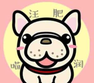 汪肥喵润chubbypet 