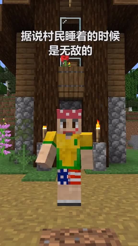 我的世界之搞笑:村民竟然会无敌!不信请看完这个视频!