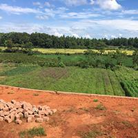 小小幸福的一家 