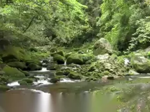 张家界国家森林公园风光