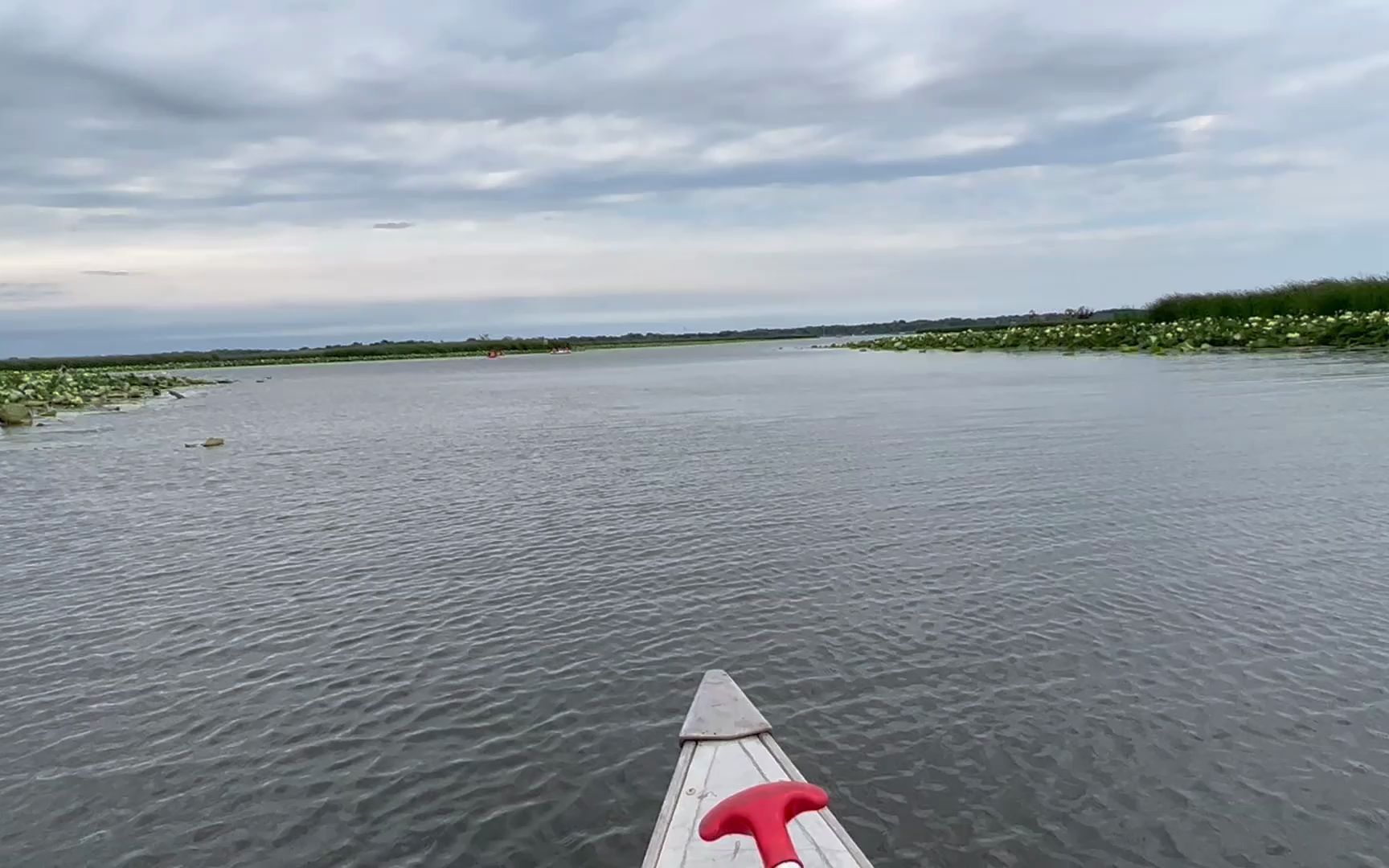 第一次在河流里划独木舟,看到了大片的黄色的荷花,流连忘返,迷了路。