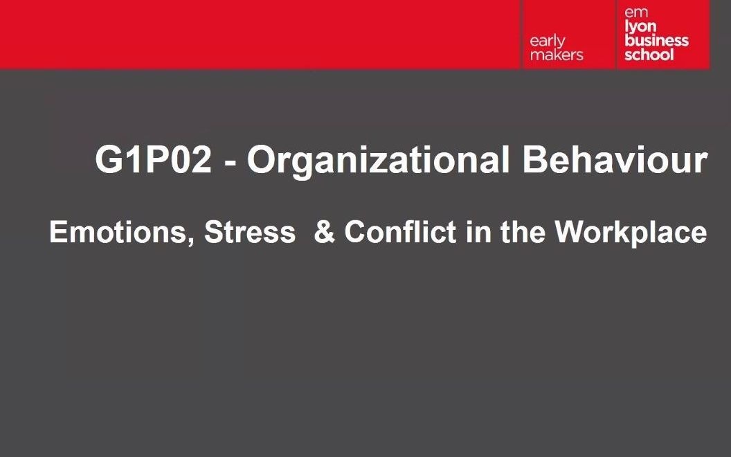 里昂商学院组织行为学课程5-1【emlyon Organizational Behavior】