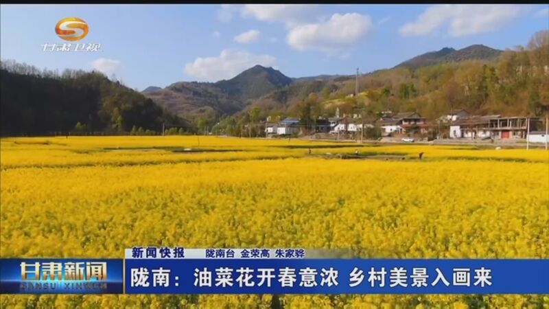 [甘肃新闻]陇南:油菜花开春意浓 乡村美景入画来