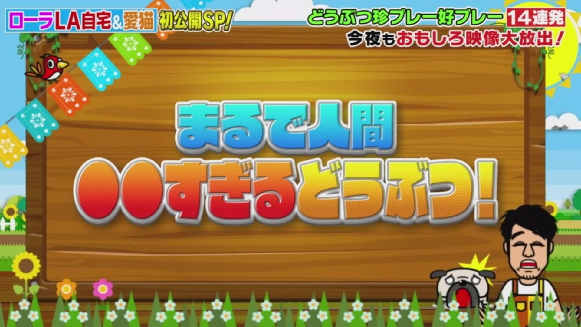 ...SP【Rola自己的家首次公开!芦田爱菜选择的超可爱的动物映像 5-10